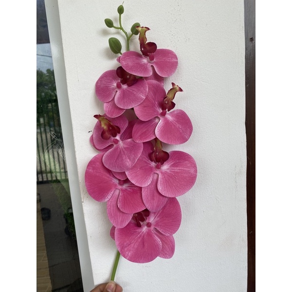 Jual BUNGA ANGGREK LATEX TANGKAI 7 kuntum BUNGA | Shopee Indonesia
