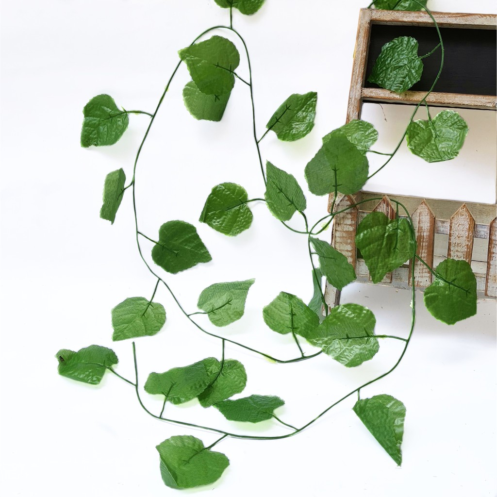 Jual Daun Rambat Panjang 2.3m Motif Random Dekorasi Dinding Rumah ...