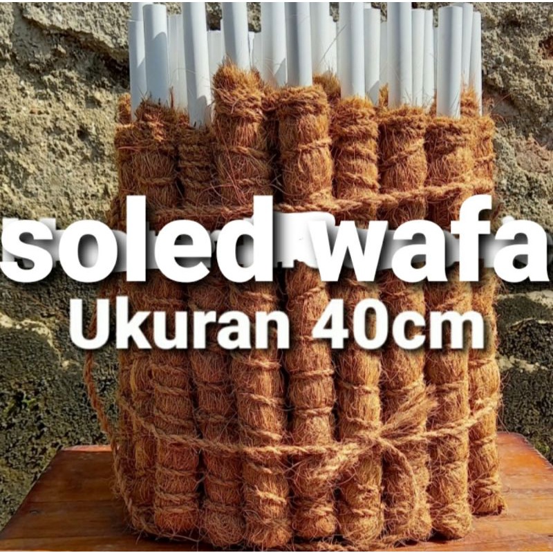 Jual TURUS TIANG TANAMAN RAMBAT COCOFIBER HALUS PREMIUM 40cm | Shopee ...
