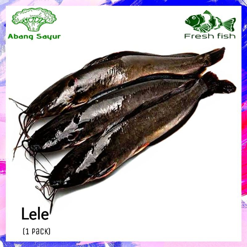 Jual Ikan Lele Segar 500gr | Shopee Indonesia