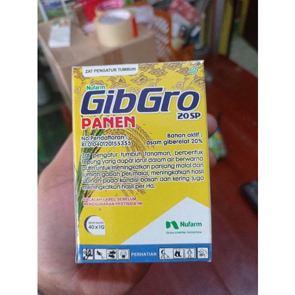Jual GIBRO PANEN 20SP 1GR (isi 40 sachet) | Shopee Indonesia