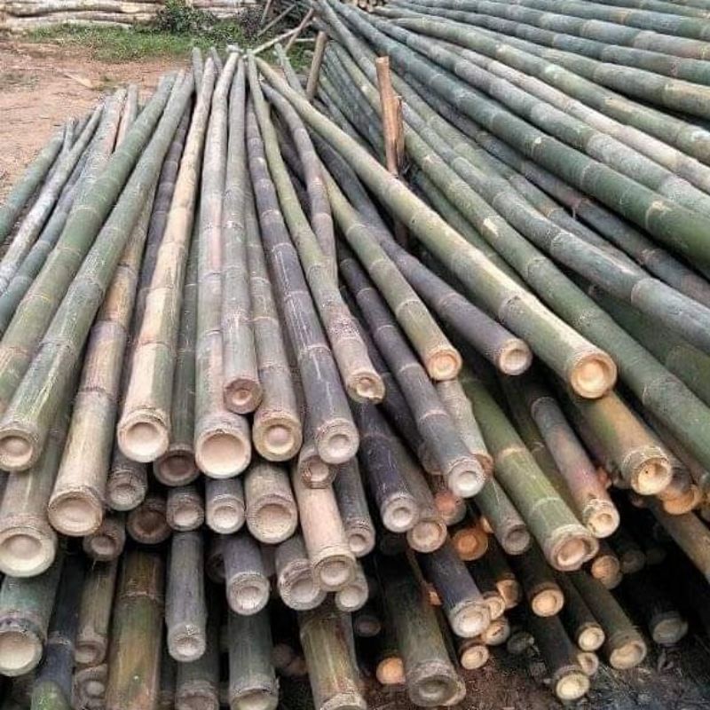 Jual Bambu atau awi esteger ukuran 7/8 | Shopee Indonesia