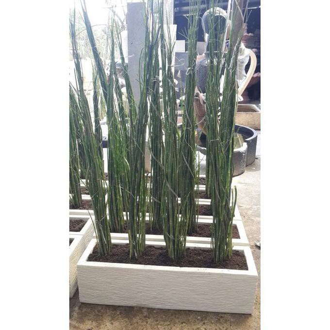 Jual Pot Taman Bunga Kotak Panjang Minimalis Dan Elegan Outletlintang ...