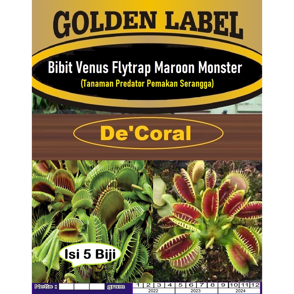 Jual Bibit Tanaman Venus Flytrap Maroon | Bibit Tanaman Pemakan ...
