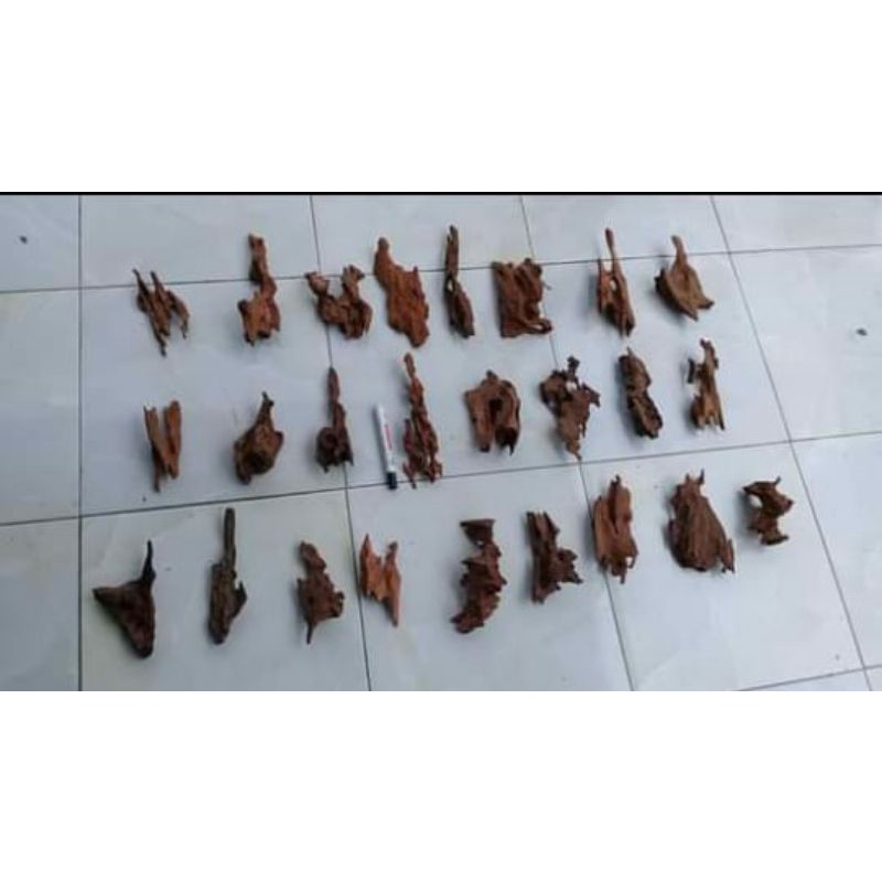 Jual kayu rentek | Shopee Indonesia