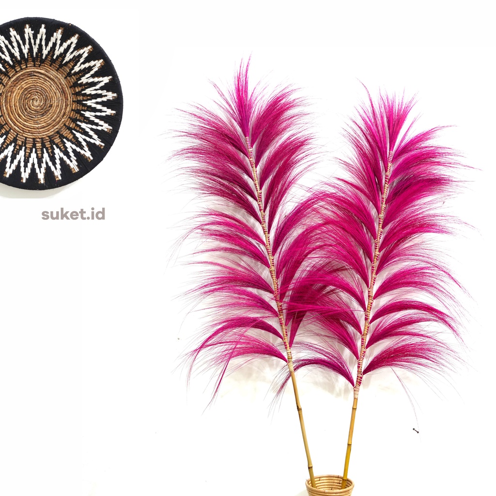 Jual PAMPAS RAYUNG STIK DEKORASI (Rayung Stick) home decor/ Rayung ...