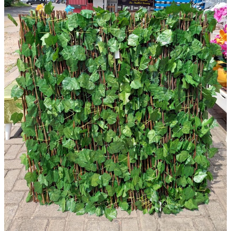 Jual Pagar Daun Rambat | Rating Rambat | Shopee Indonesia