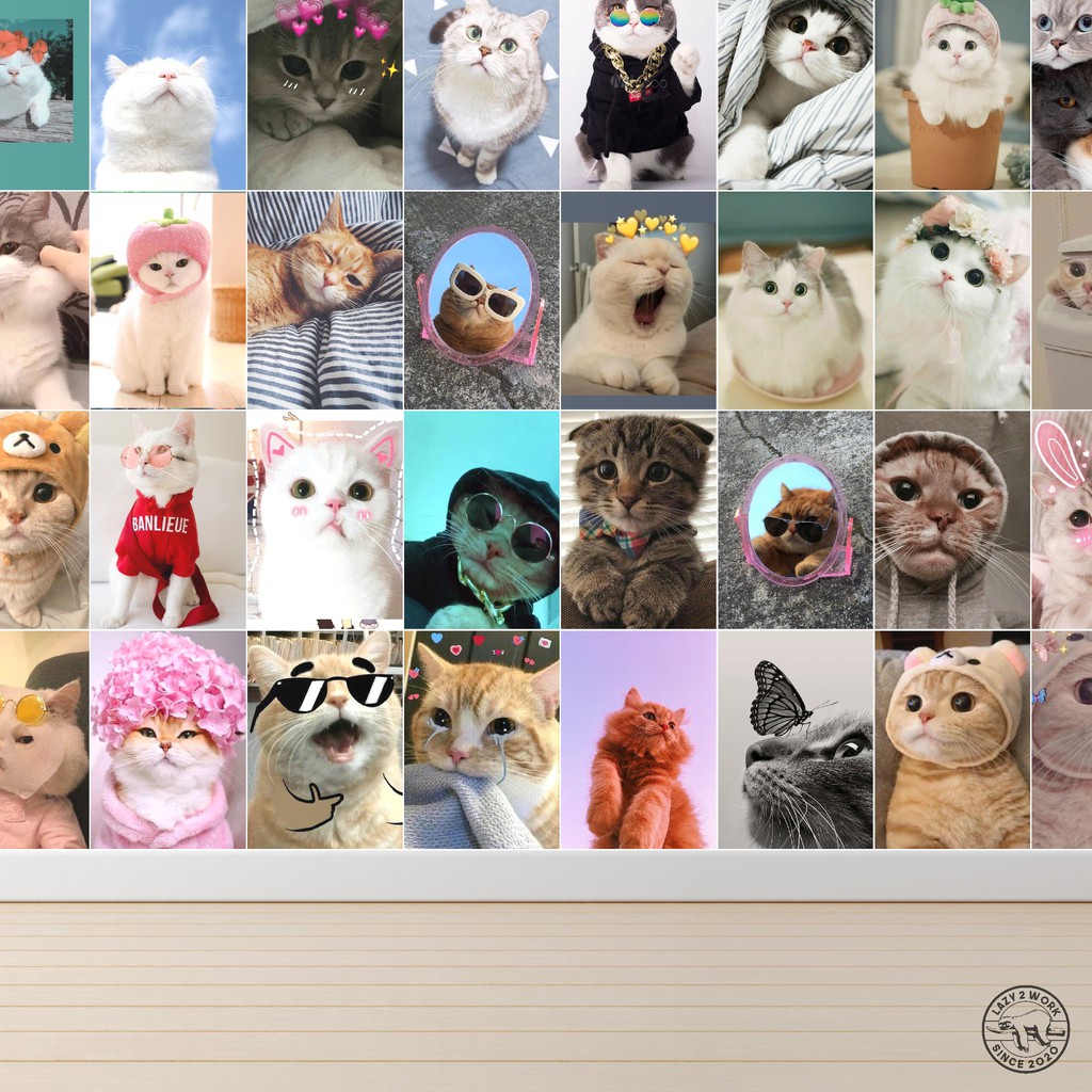 Jual Poster dinding Cute Cat ( 16 Pcs ) | Shopee Indonesia