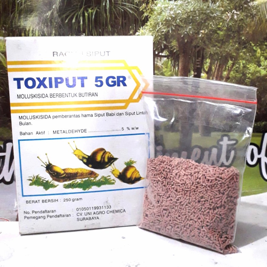 Jual Toxiput 5GR Moluskisida Kemasan REPACK 25 gram Obat Pemberantas ...