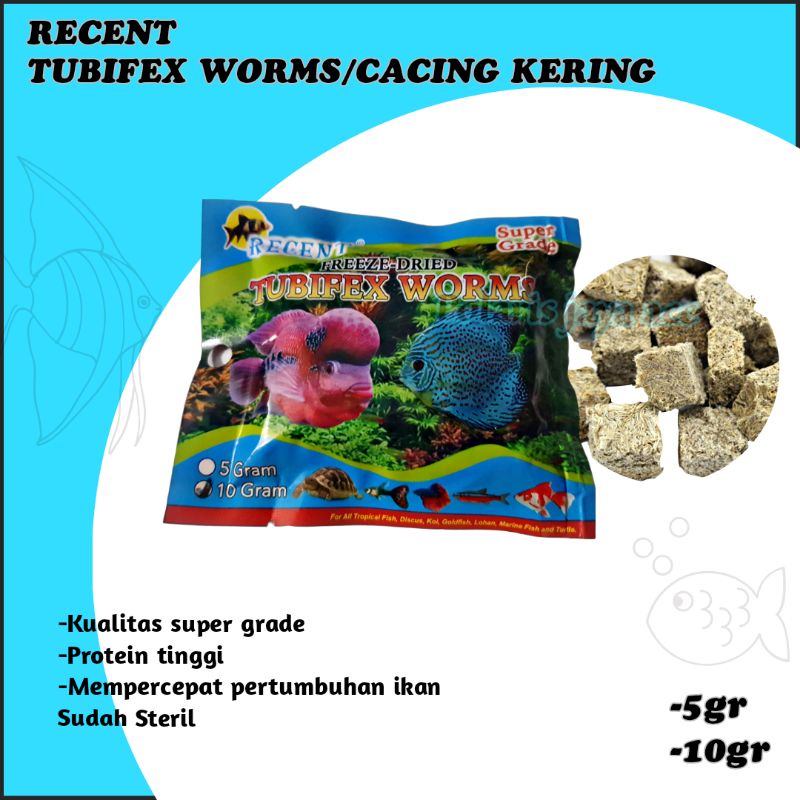 Jual CACING KERING TUBIFEX WORMS RECENT PAKAN IKAN HIAS AQUARIUM ...