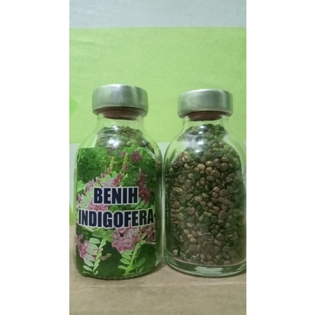 Jual Benih biji indigofera super pakan ternak 20 gram | Shopee Indonesia