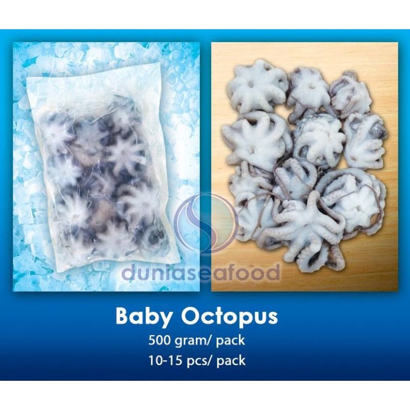 Jual Baby Octopus 500 gram/pack 10-15 pcs/pack | Shopee Indonesia