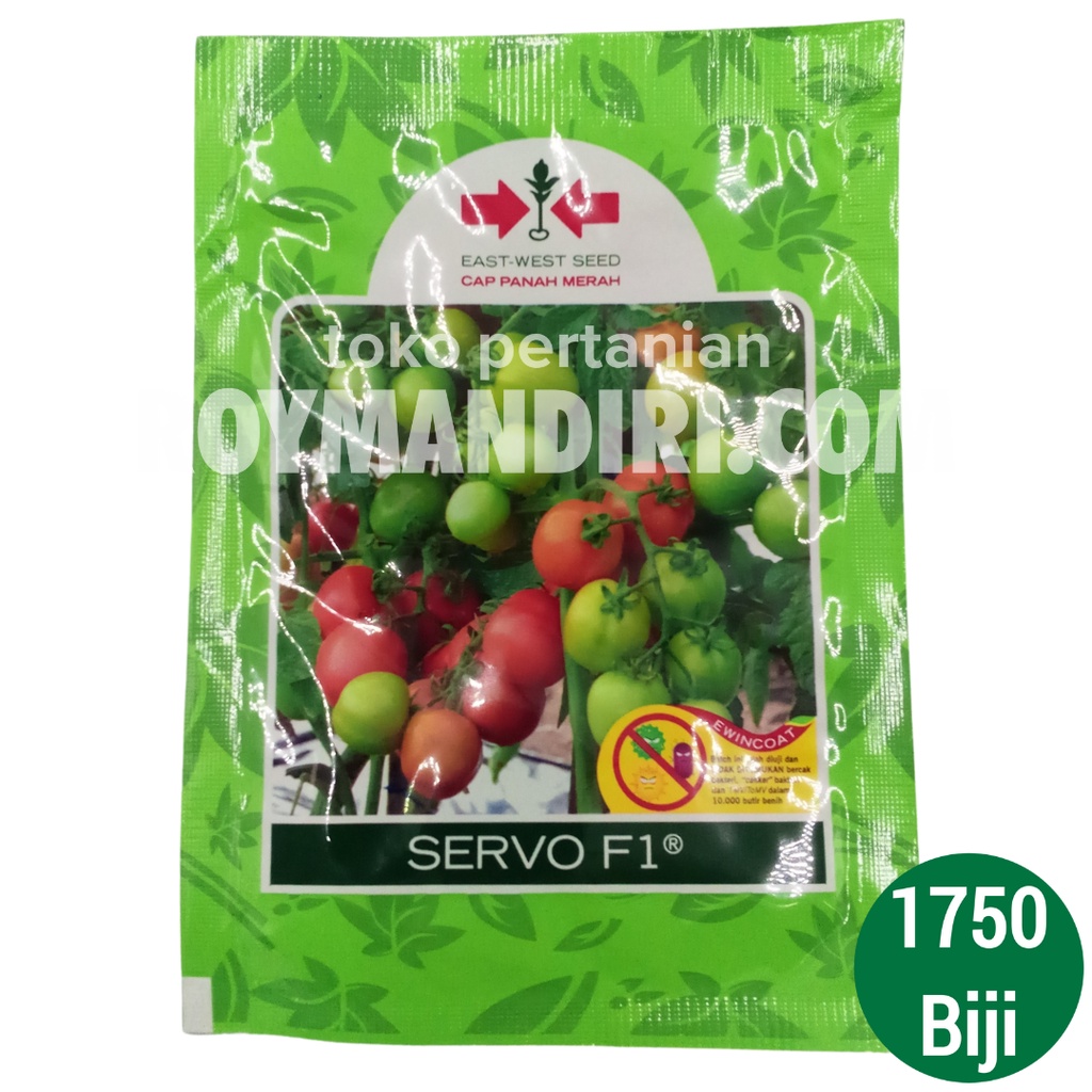 Jual Benih Tomat Servo F1 @1750 butir | Shopee Indonesia