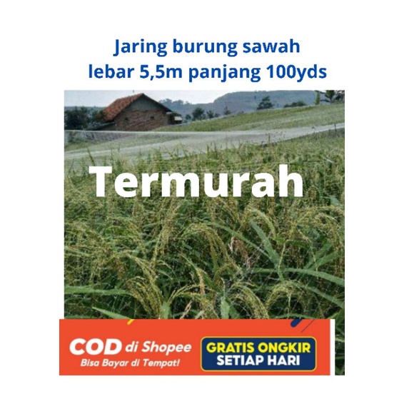 Jual Jaring Burung Pipit Jaring Burung padi Jaring Pertanian Jaring ...