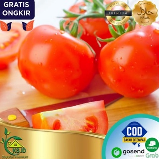 Jual TOMAT BARU DAN SEGAR 250gr | Shopee Indonesia
