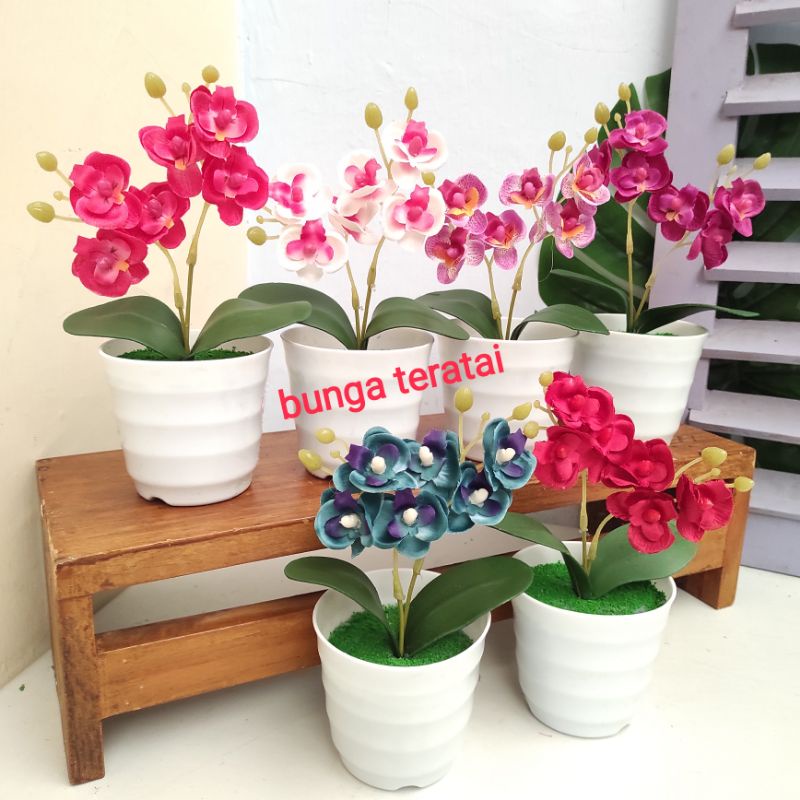 Jual BUNGA ANGGREK MINI ARTIFICIAL DEKORASI | Shopee Indonesia