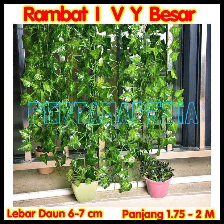 Jual Daun Rambat Buatan/ Bunga Plastik | Shopee Indonesia