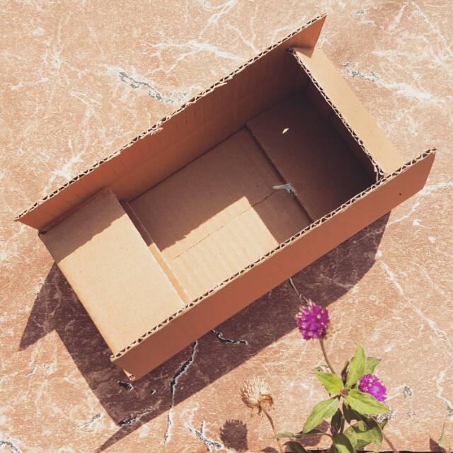Jual KARDUS DUS BOX KARTON COKLAT 3MM 6MM KIRIMAN PACKING PAKET POLOS ...