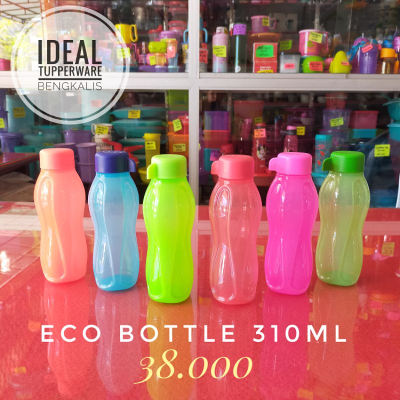 Jual eco bottle 310ml | Shopee Indonesia
