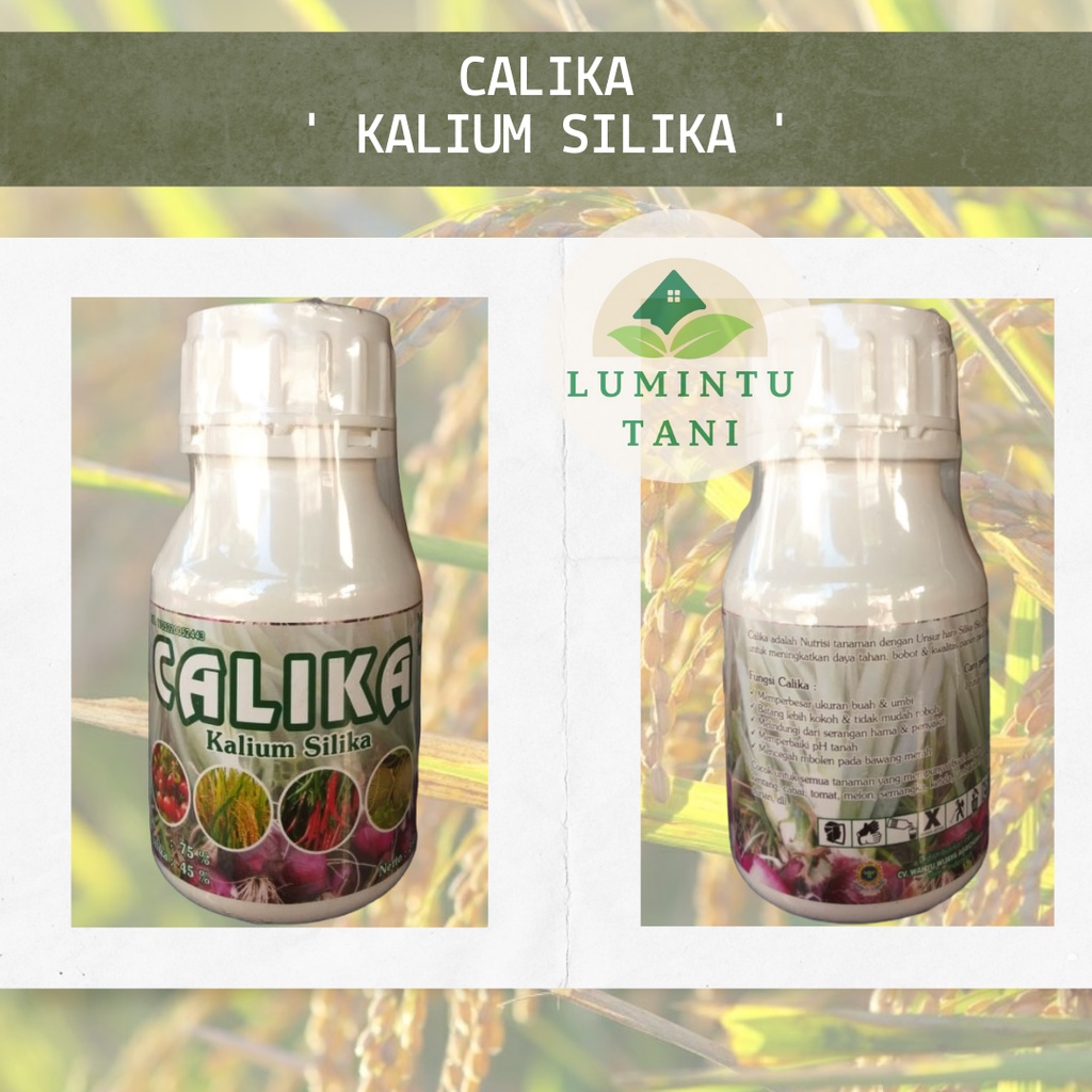 Jual Calika / Silika Cair (500ML) | Shopee Indonesia