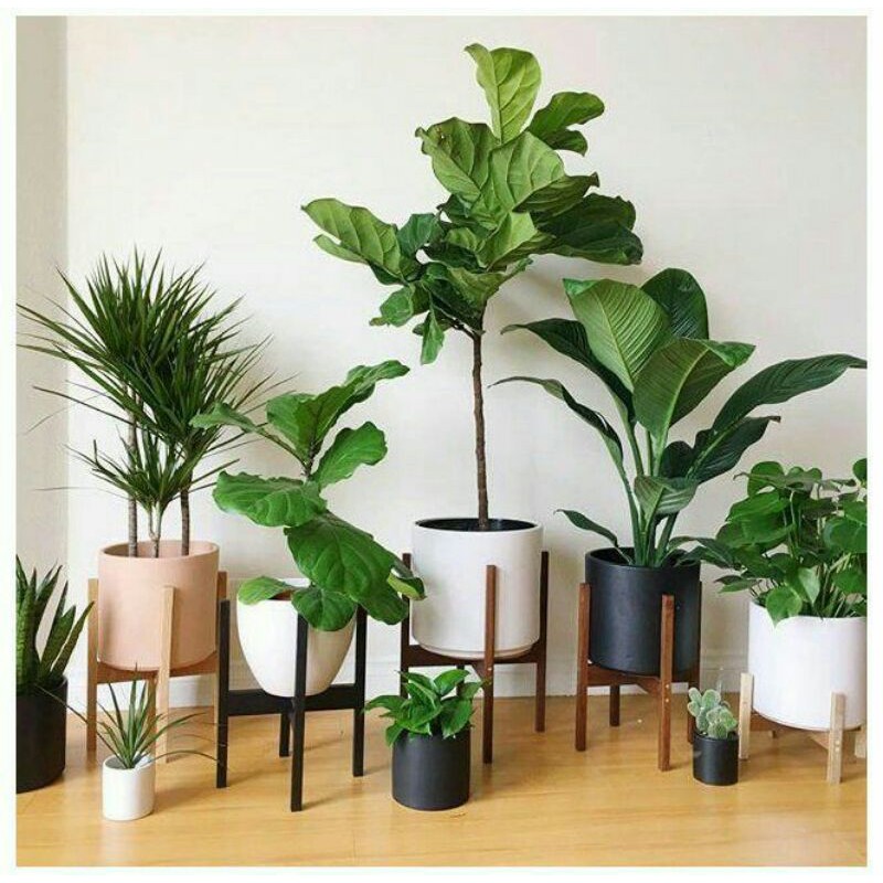 Jual Rak Bunga Dudukan Pot Century Modern Planter Plant Pot Whit Wood ...