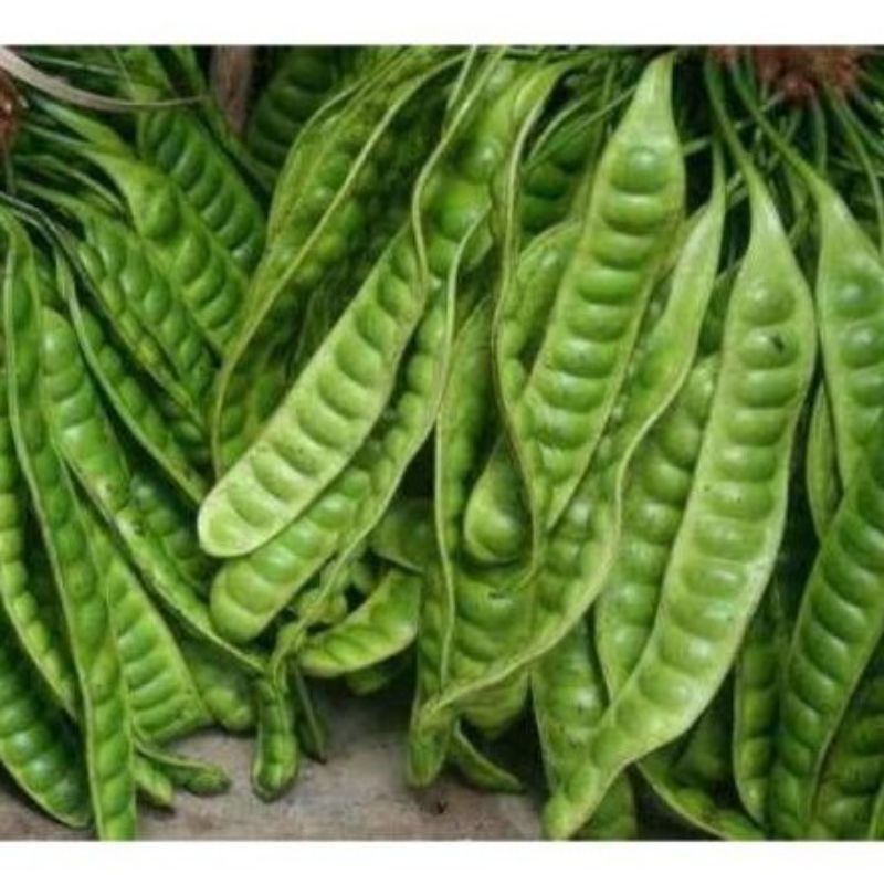 Jual petai | Shopee Indonesia