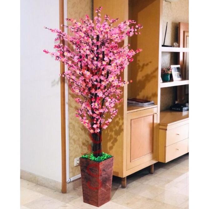 Jual [COD] Pohon Imlek Meihua Sincia Angpao Sakura Xincia Tanaman Pot ...