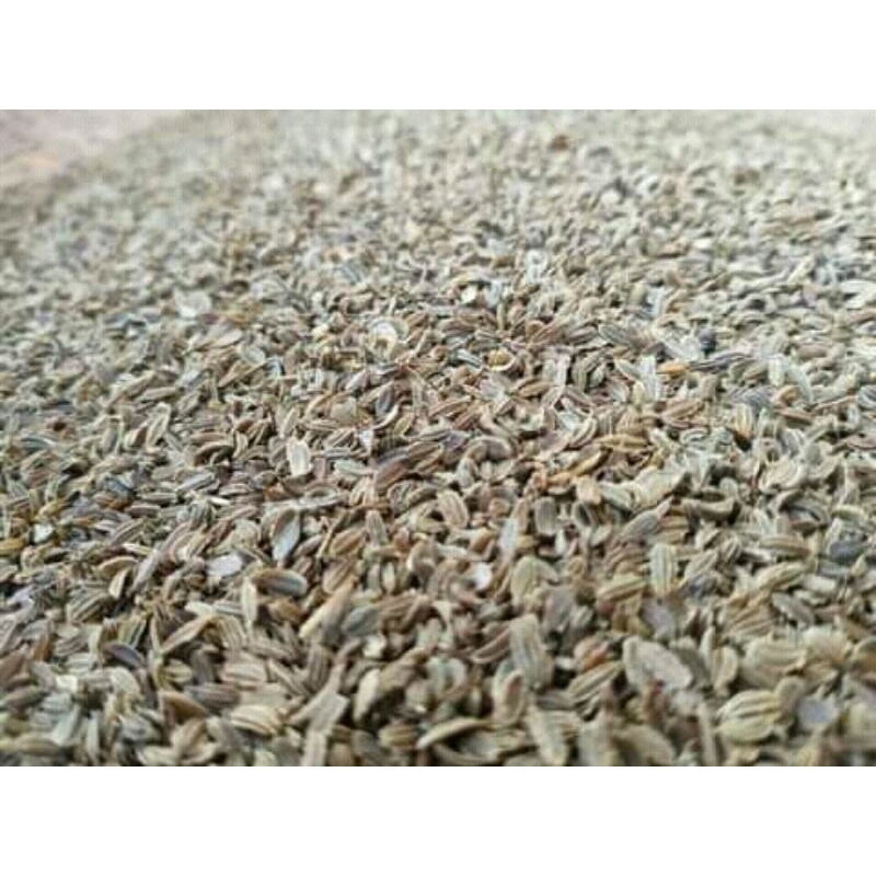Jual benih bibit wortel variates lokal cipanas unggulan 1 kg | Shopee ...