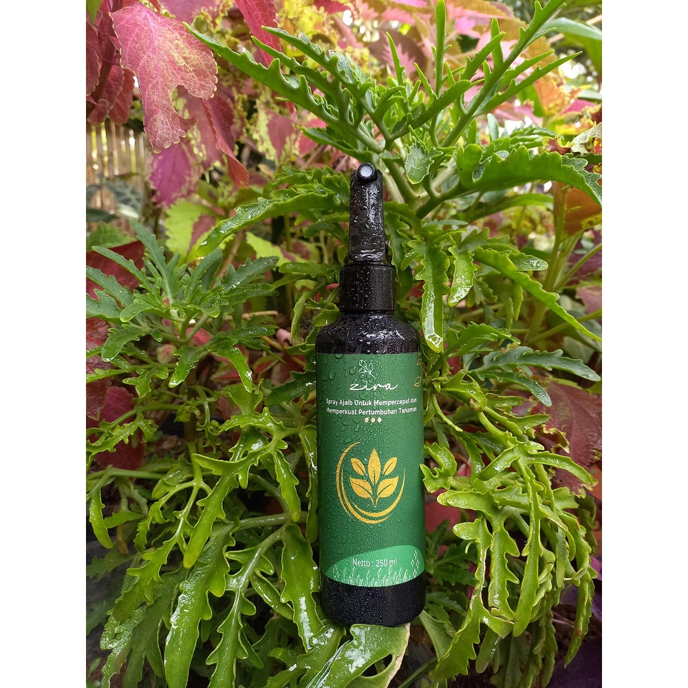 Jual CAIRAN PENYUBUR TANAMAN ZIRA (COD) | Shopee Indonesia