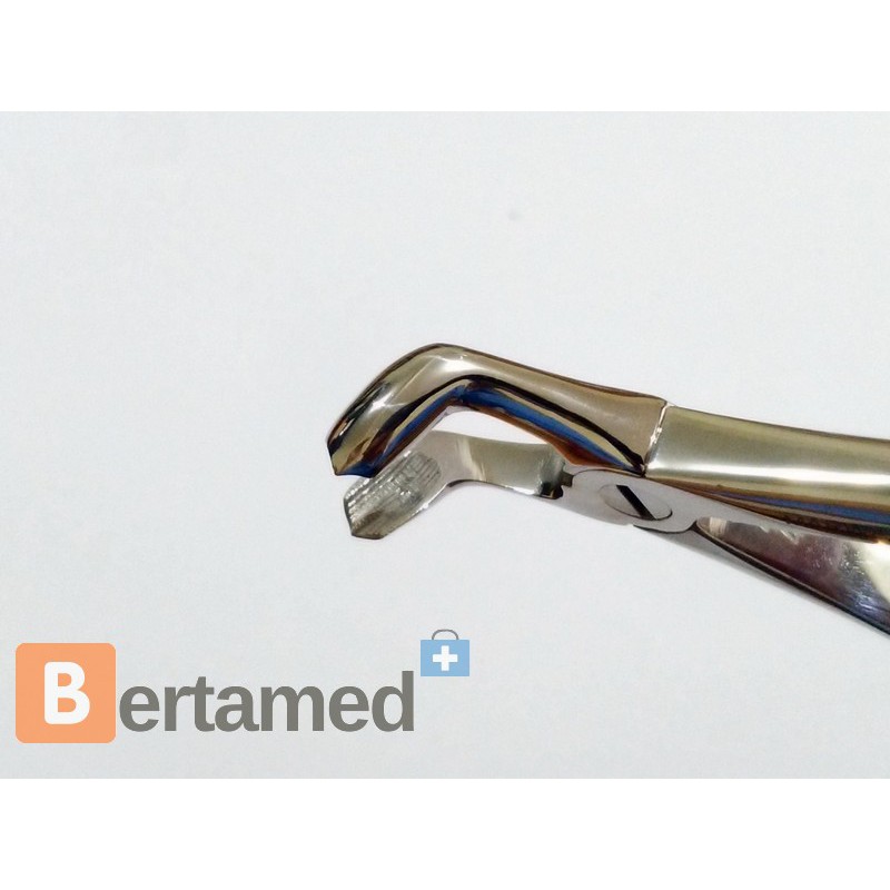 Jual MARWA Tooth Extracting Forcep For Adult - Tang Cabut Gigi Dewasa ...