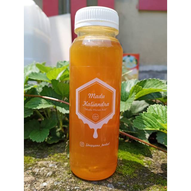 Jual Madu Kaliandra Murni (Raw Honey) | Shopee Indonesia
