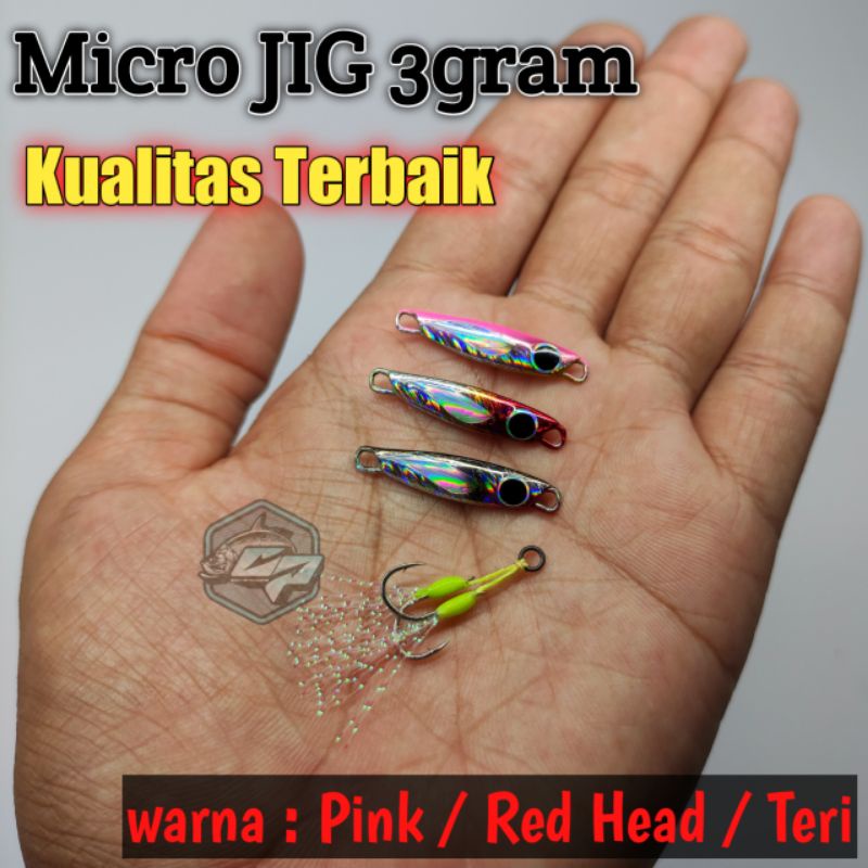 Jual MICRO JIG 3GRAM | Shopee Indonesia
