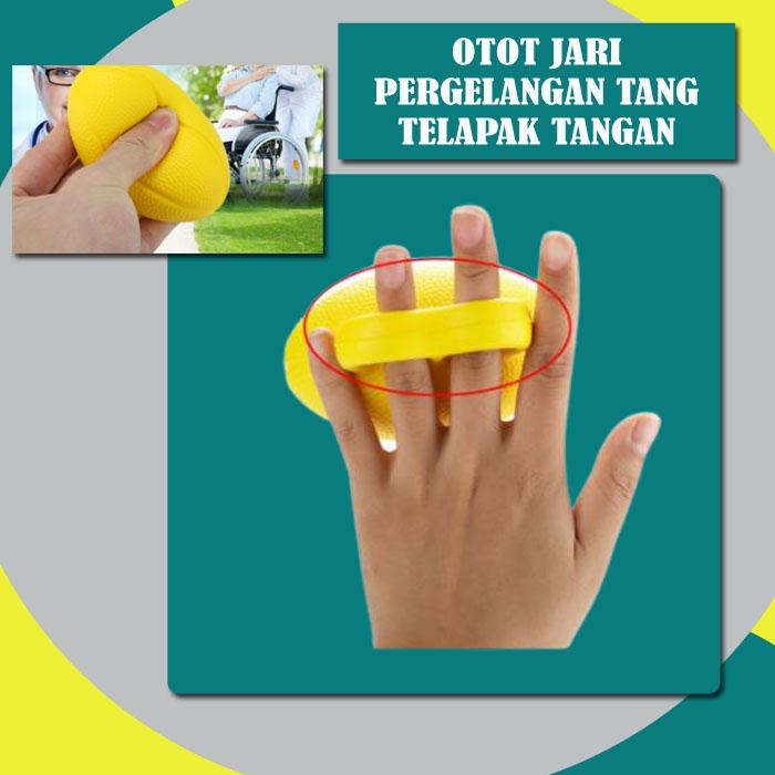 Jual Alat Terapi Tangan Penderita Stroke Model Bola Finger Grip ...