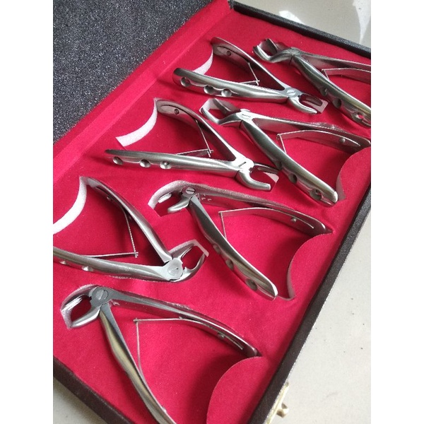 Jual TANG CABUT SULUNG DENTAL ALAT CABUT GIGI ANAK Premium Quality ISI ...