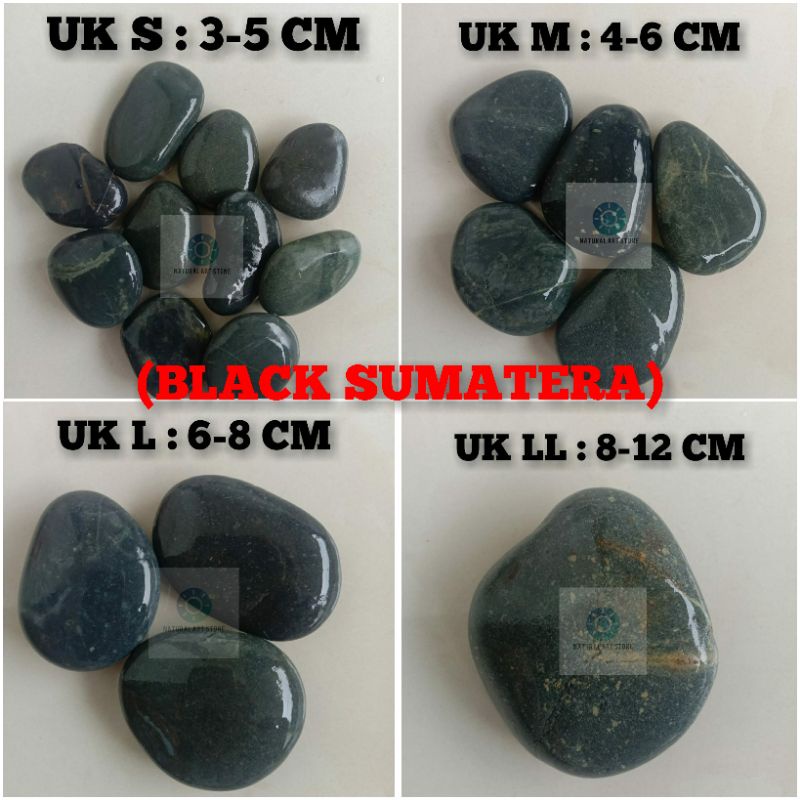 Jual BATU HIAS KORAL HITAM SUMATERA, BATU HITAM TABUR, BATU AKURIUM ...