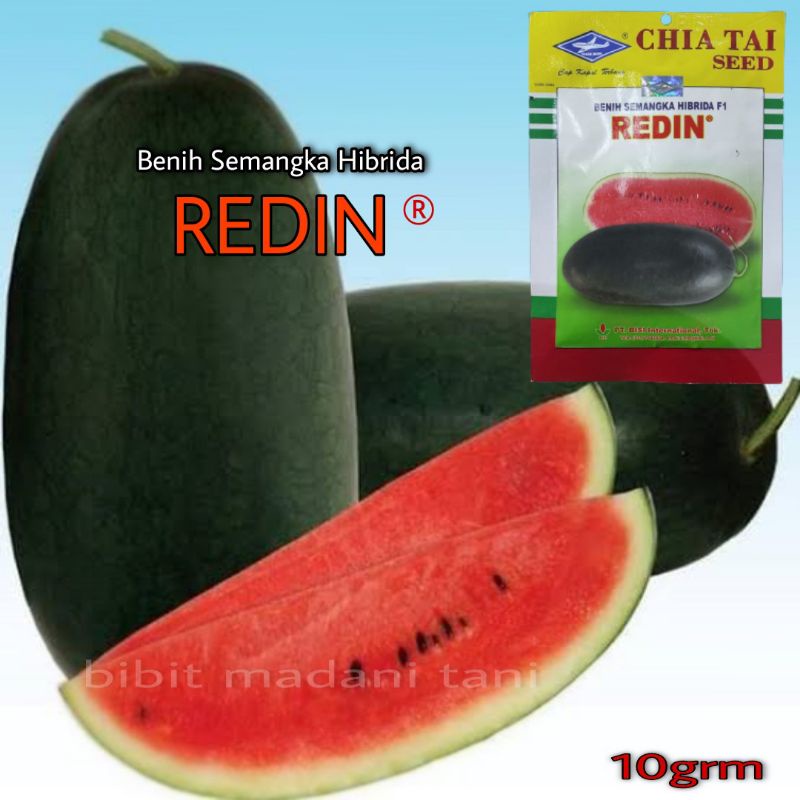 Jual Redin Semangka (10grm) | Shopee Indonesia