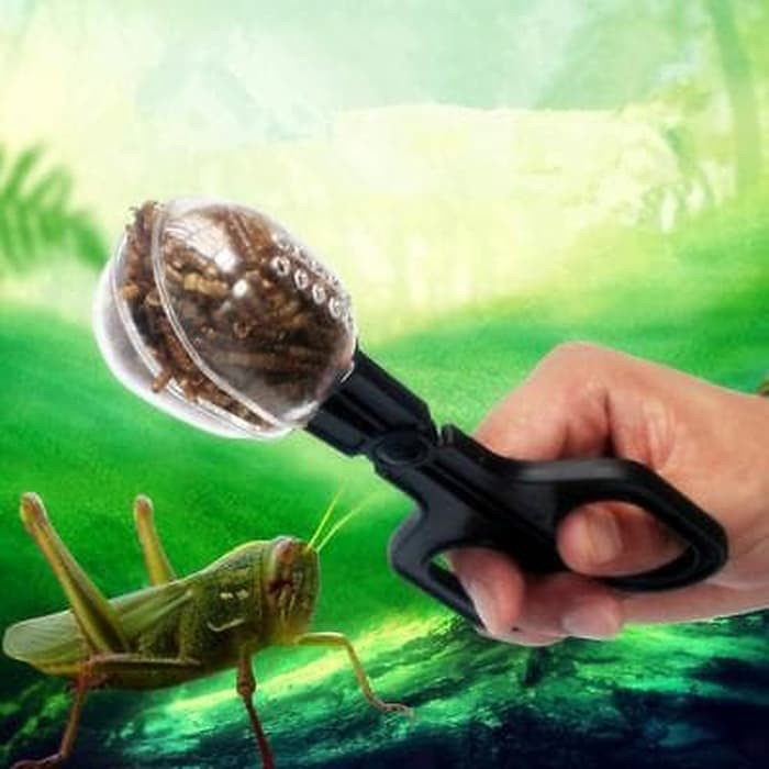 Jual Penjepit Capit Serangga Jangkrik Ulat German Hongkong Insect Clip ...
