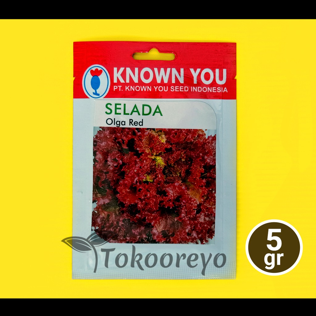 Jual BENIH KYS KNOWN YOU SEED OLGA RED SELADA 5 GRAM KEMASAN PABRIK | Shopee Indonesia