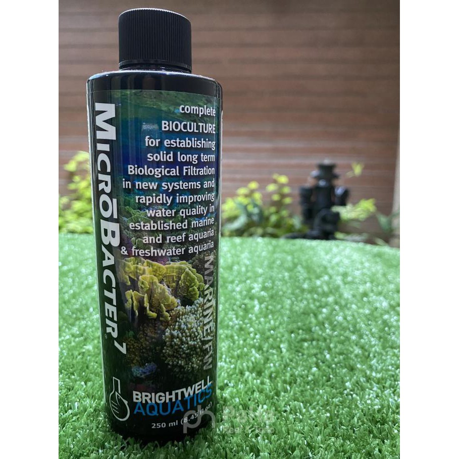 Jual Favorit] Microbacter7 Brightwell Mb7 - Bakteri Penurun Nitrate ...