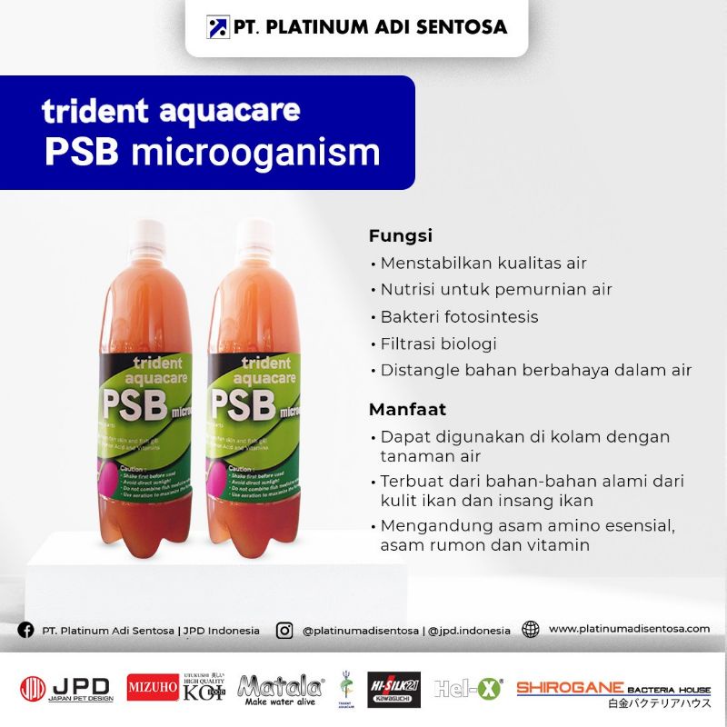 Jual PSB Bakteri Starter Penjernih Air 500 ML Made In Japan | Shopee Indonesia