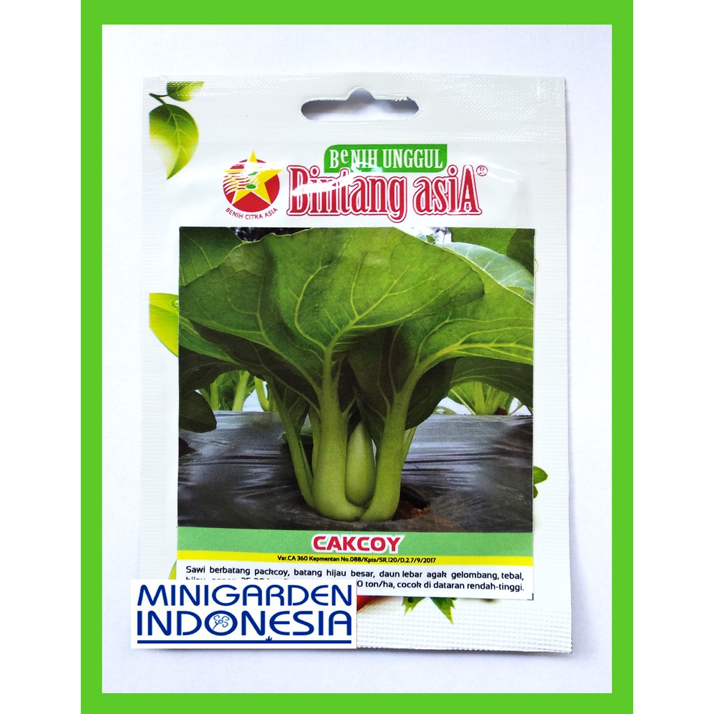 Jual SAWI HIJAU CAKCOY 2 GRAM PACK KECIL benih bibit biji pakchoy pak ...