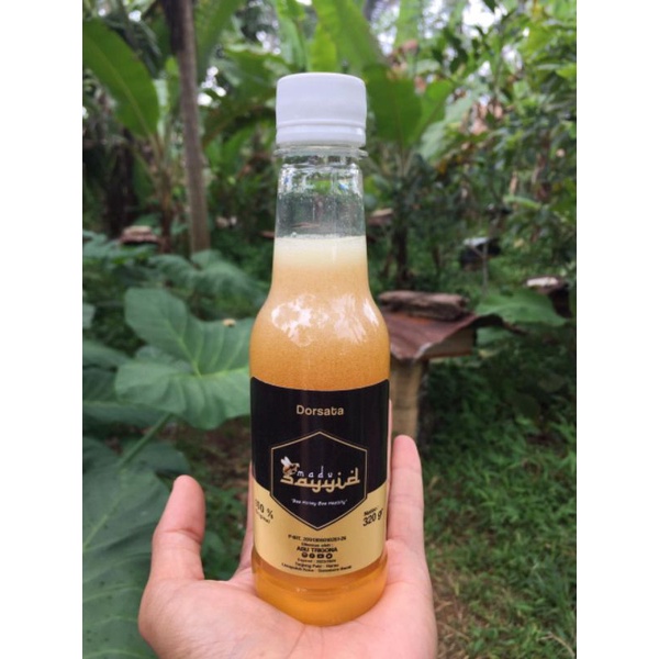 Jual sayyid madu - madu lebah apis dorsata madu sialang dan batu cadas ...