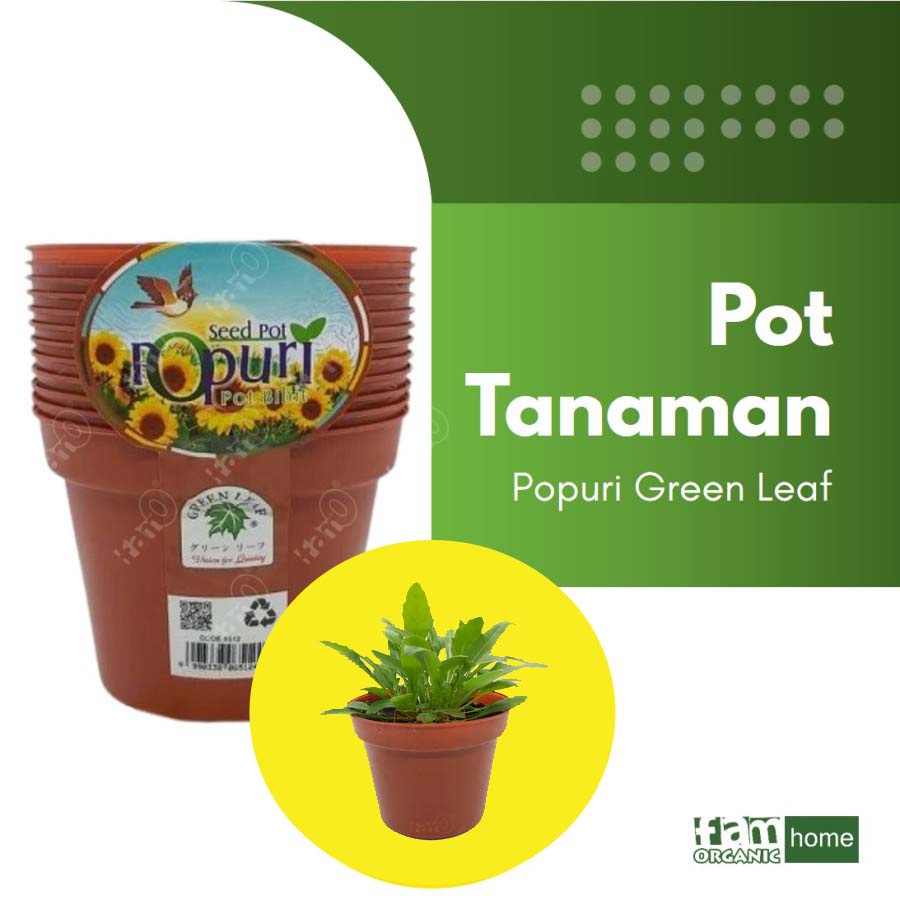 Jual Pot Bunga / Pot Tanaman / Pot Hias 13 cm / Pot Popuri Greenleaf ...