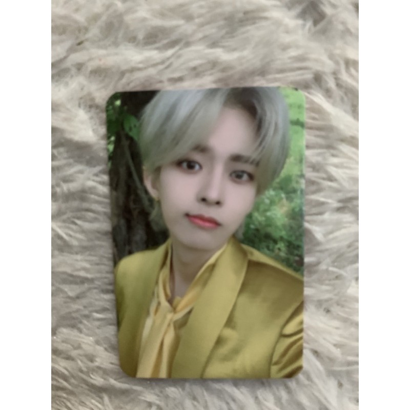 Jual PC PHOTOCARD SUBIN VENEZ MAYDAY | Shopee Indonesia