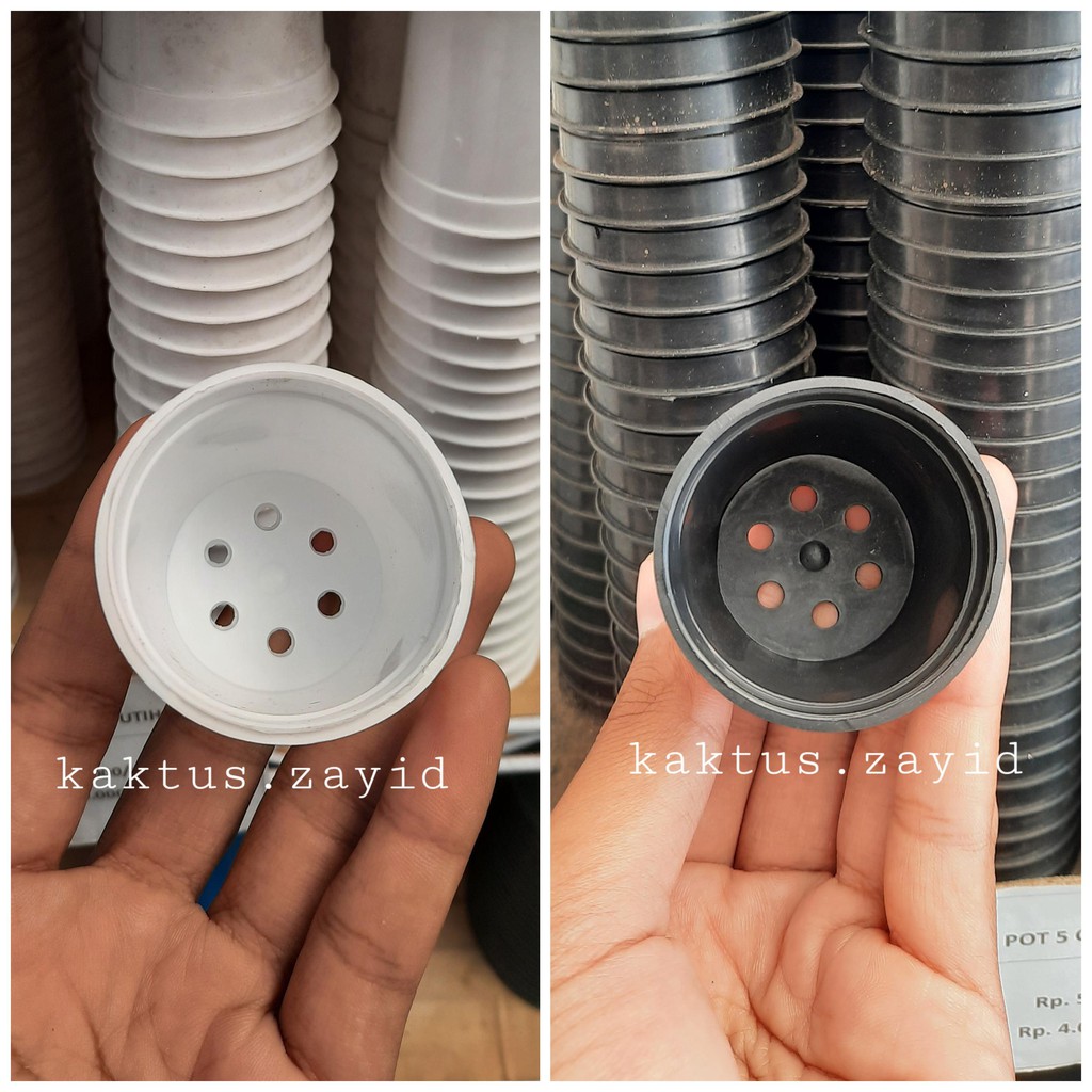 Jual Pot 5 cm | Shopee Indonesia