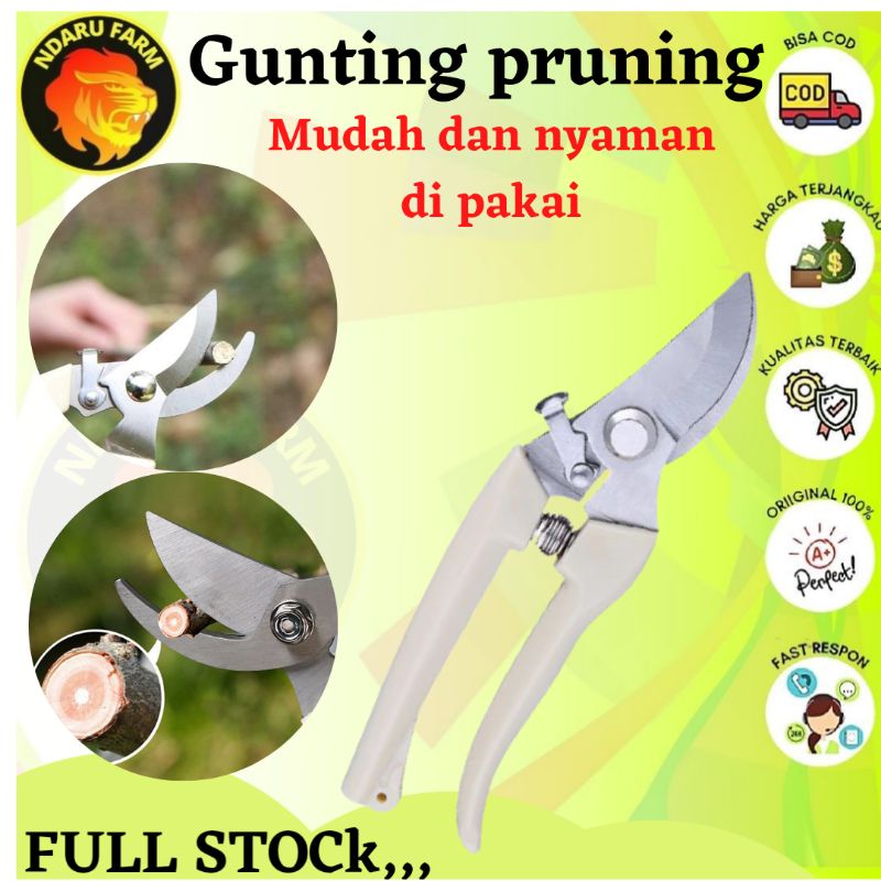 Jual Gunting Dahan Ranting Pruning Alat Potong Dahan Ranting Stek Pruning Shears NDARUFRAM ...