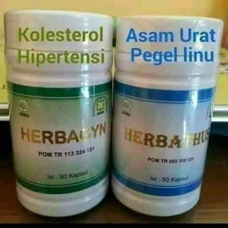 Jual Herbagyn dan herbathus obat kolestrol dan asam urat | Shopee Indonesia