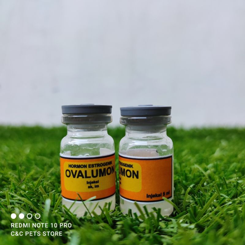 Jual Ovalumon Injeksi 5 ml penambah birahi untuk hewan peliharaan ...