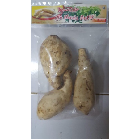 Jual Ubi Putih Monticello 1kg | Shopee Indonesia