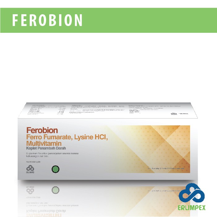 Jual Ferobion Kaplet Penambah Darah Multivitamin Kehamilan - Box 100 ...